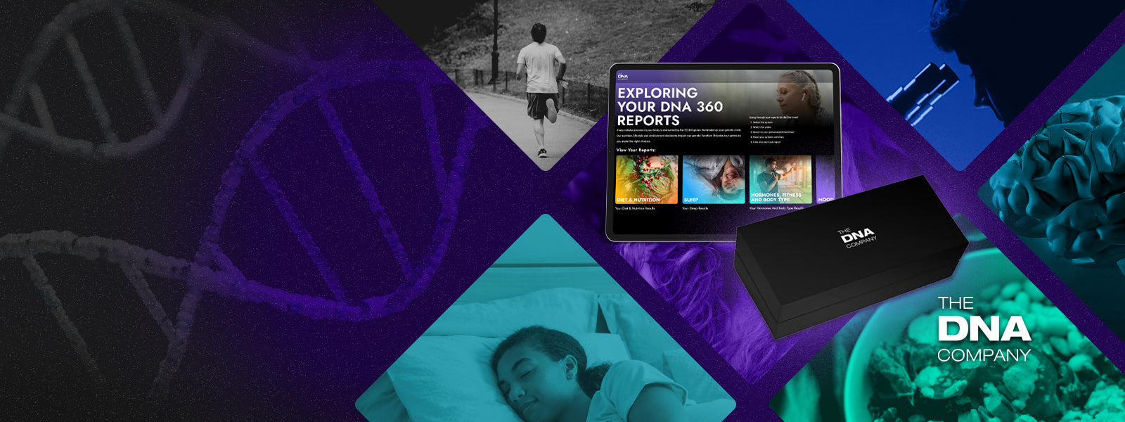 The DNA Company - Genetic Optimization Reports